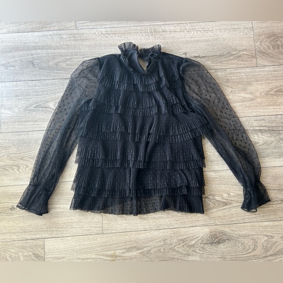 Express | Tops | Black Sheer Long Sleeved Ruffle Blouse | Poshmark